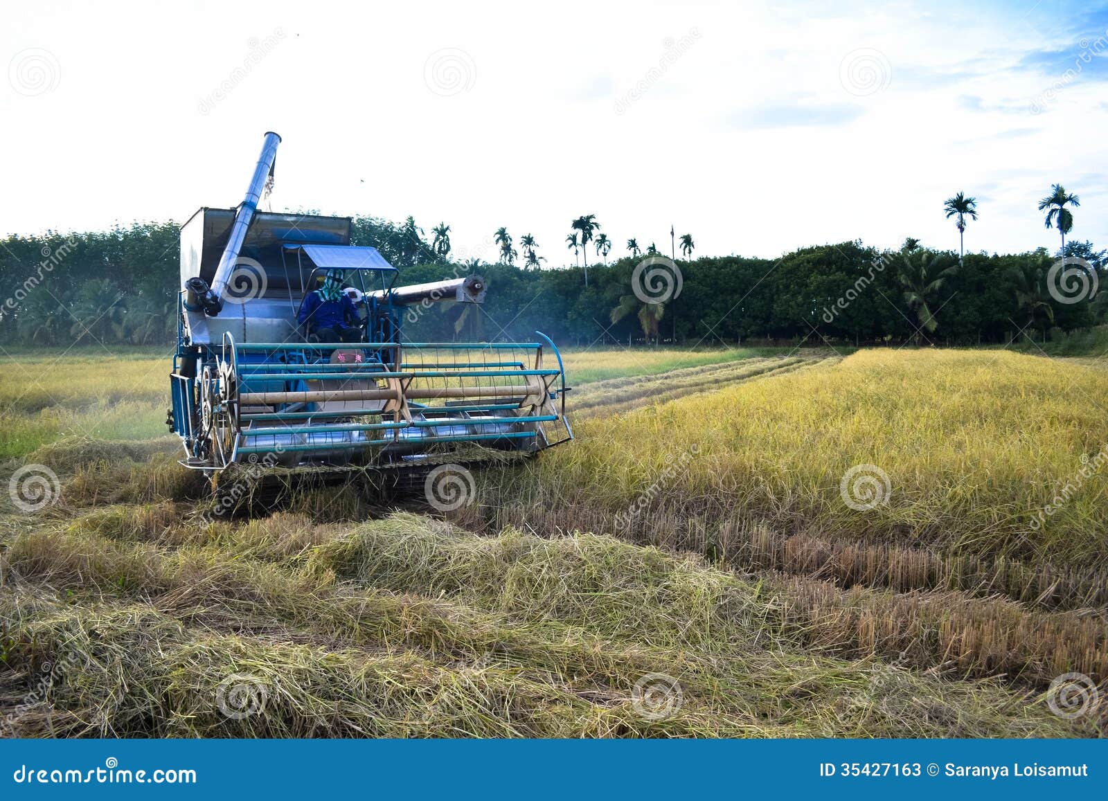 Colheita imagem de stock. Imagem de céu, palha, campo - 35427163