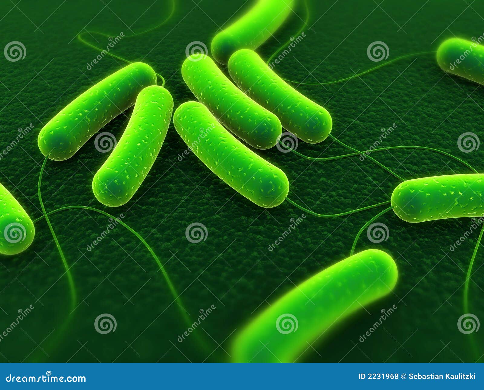 Coli bacteriën stock illustratie. Illustration of parasiet - 2231968