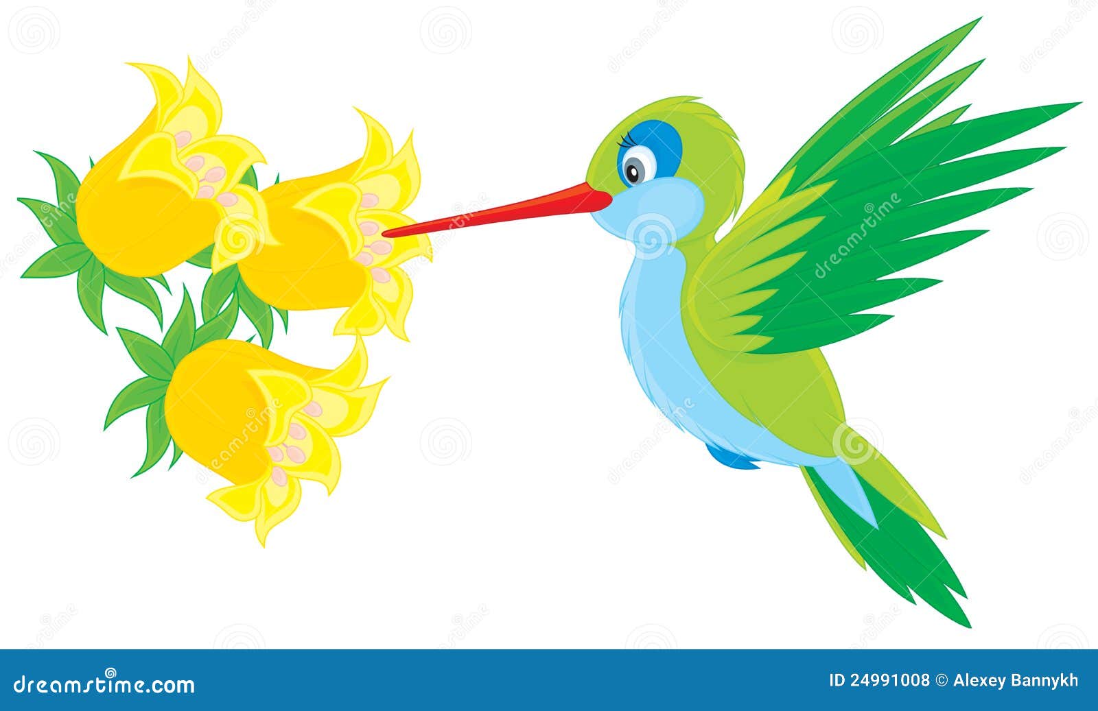Colibrí ilustración del vector. Ilustración de acortar - 24991008