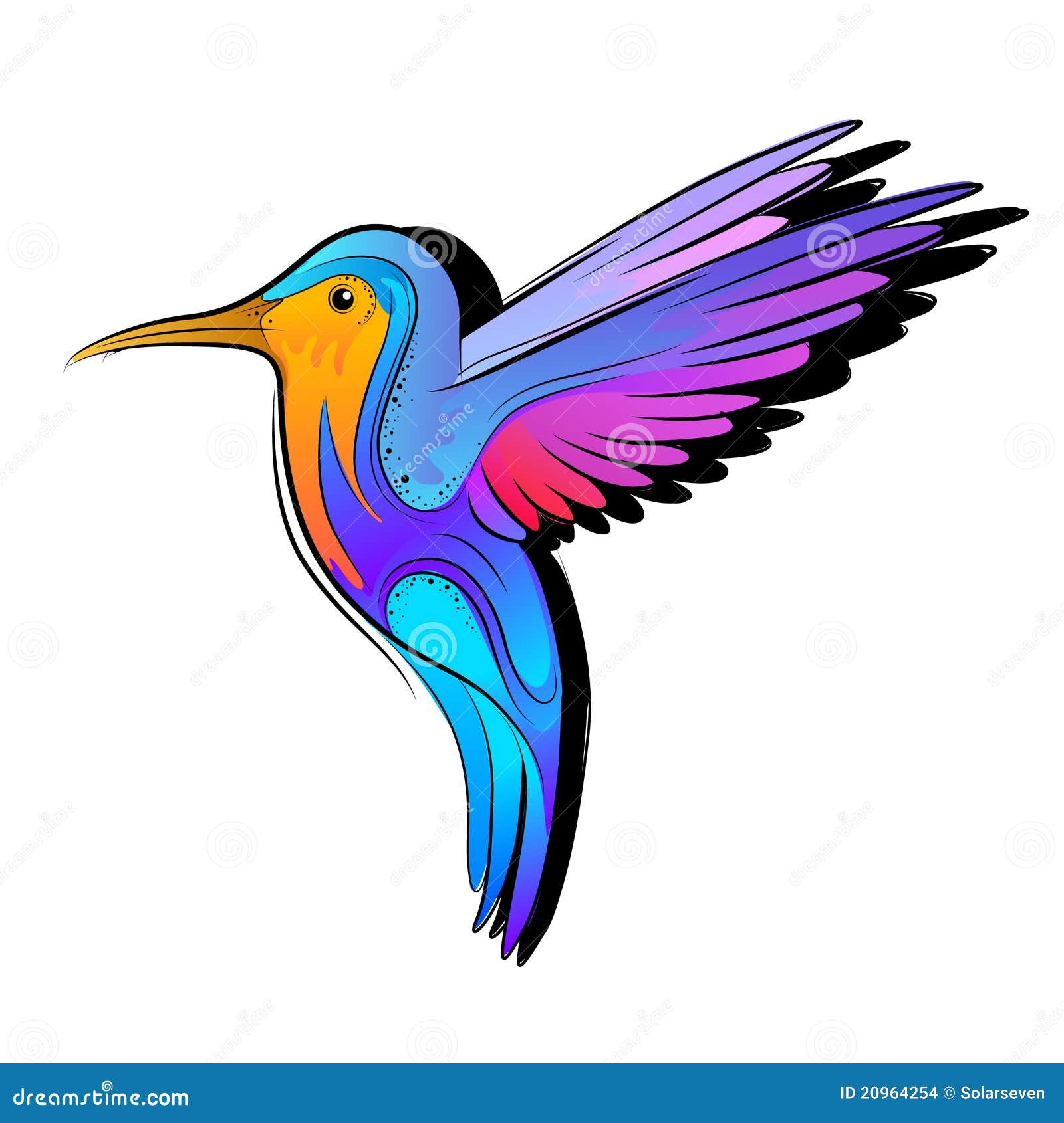 Colibrí Colorido Del Vector Ilustración del Vector - Ilustración de ...