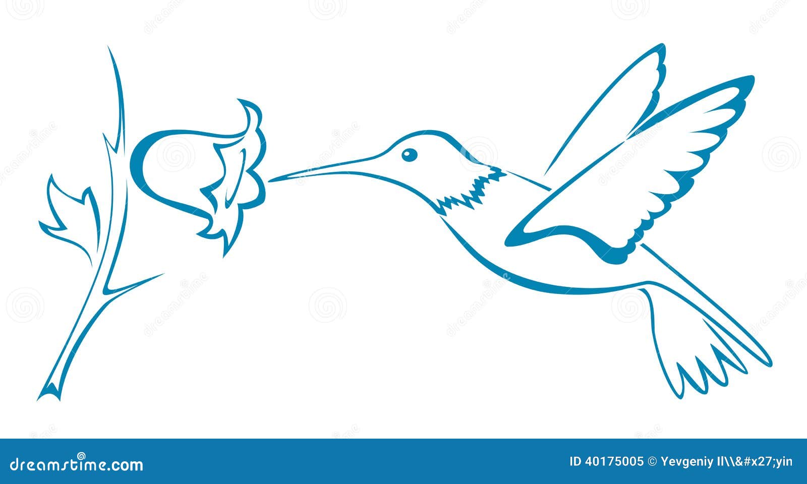 Colibri stock vector. Illustration of exotic, abstract - 40175005