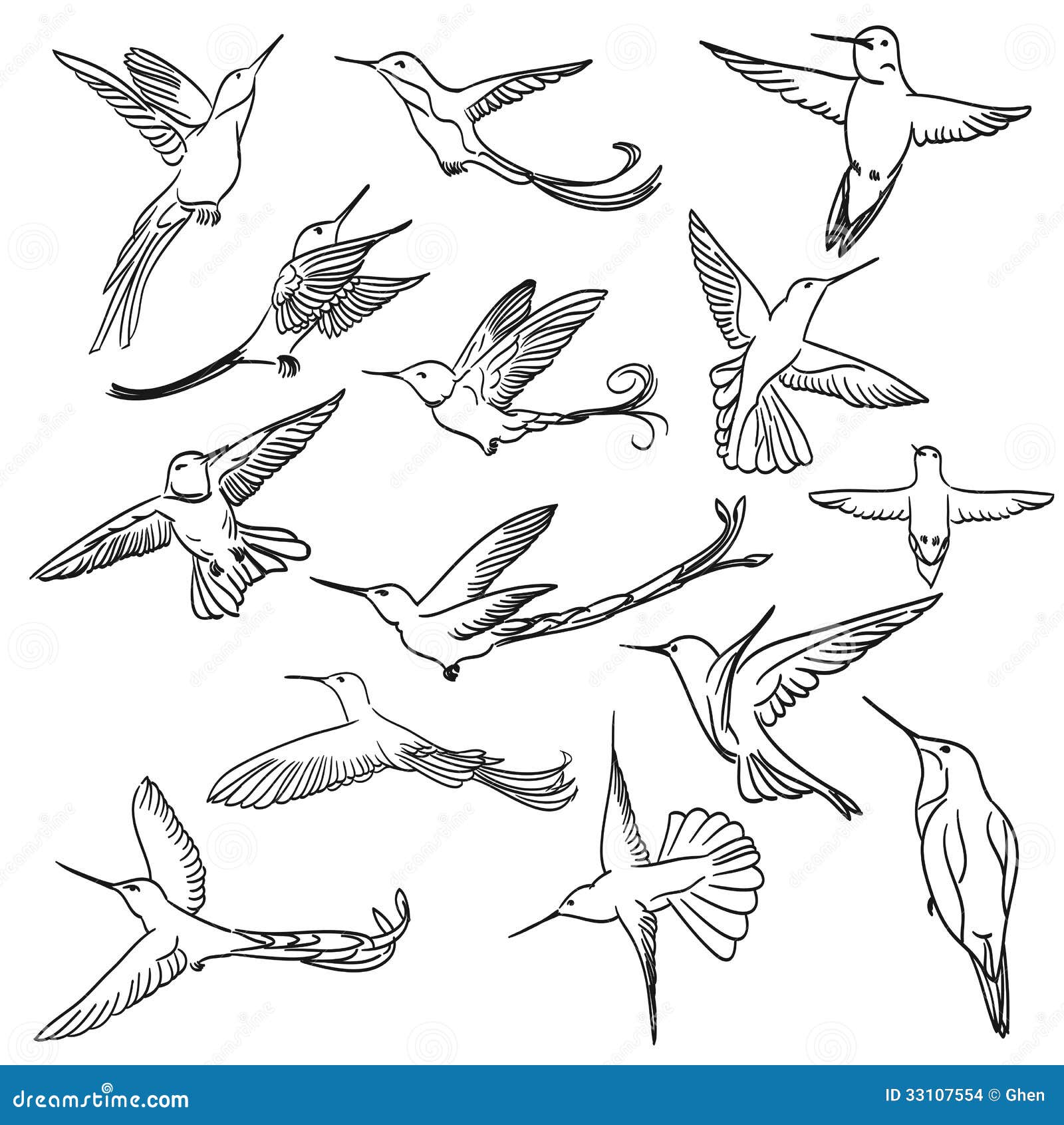 Colibri Drawing Vector Illustration | CartoonDealer.com #30000506