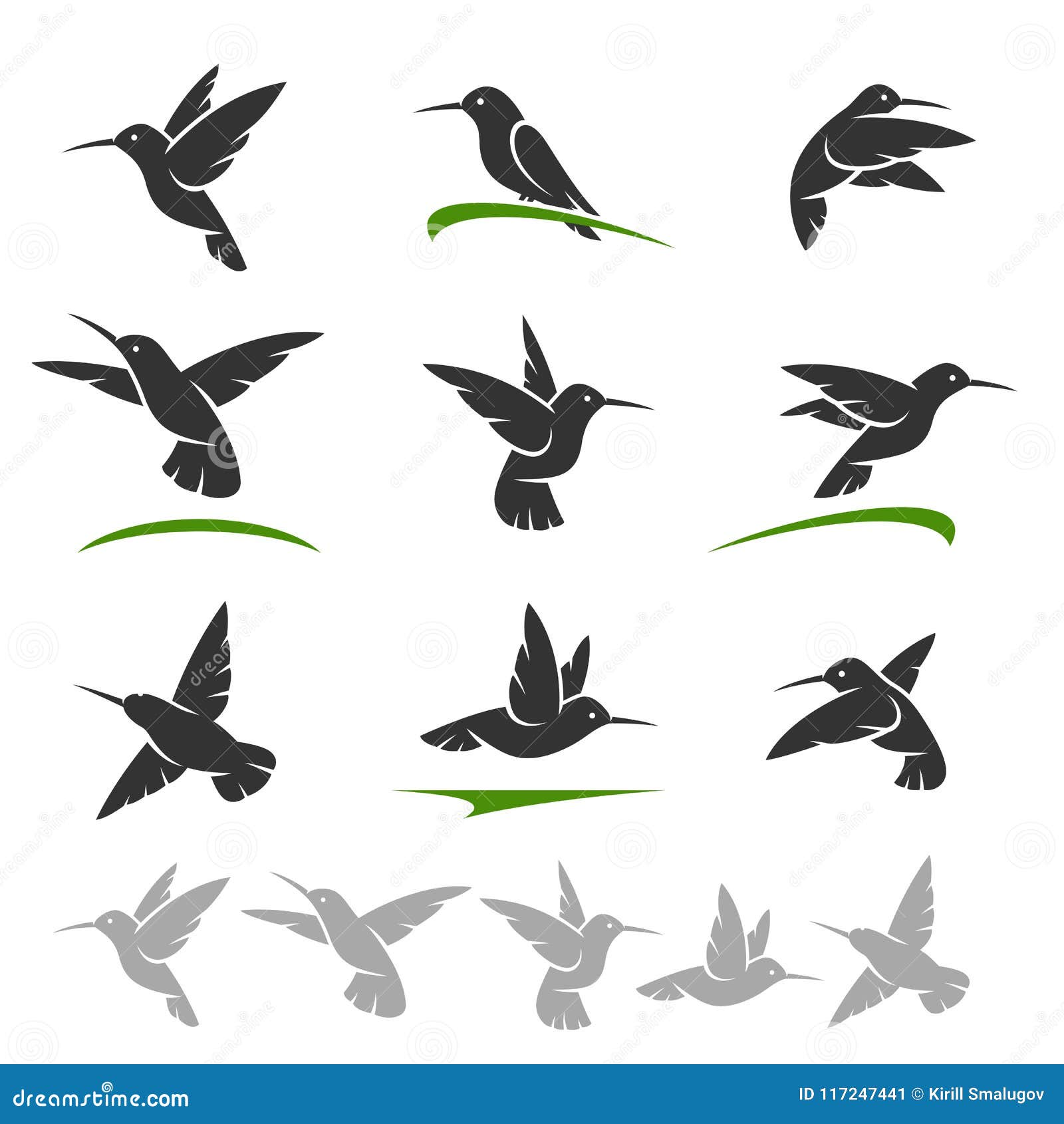 Colibri set. Vector stock vector. Illustration of exotic - 117247441