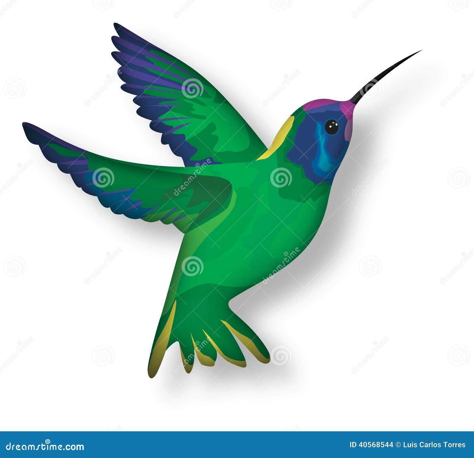 Colibri stylisé illustration stock. Illustration du masculin - 40568544