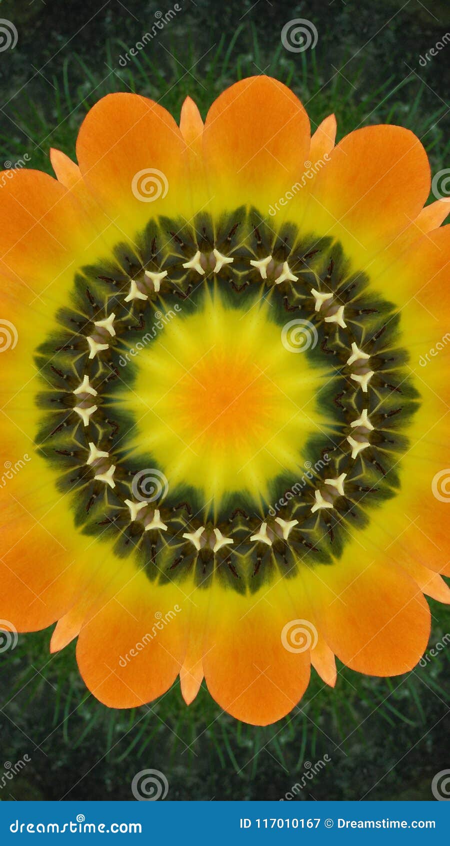 Colidescope Amarillo 2 De La Flor Imagen de archivo - Imagen de amarillo, flor: 117010167