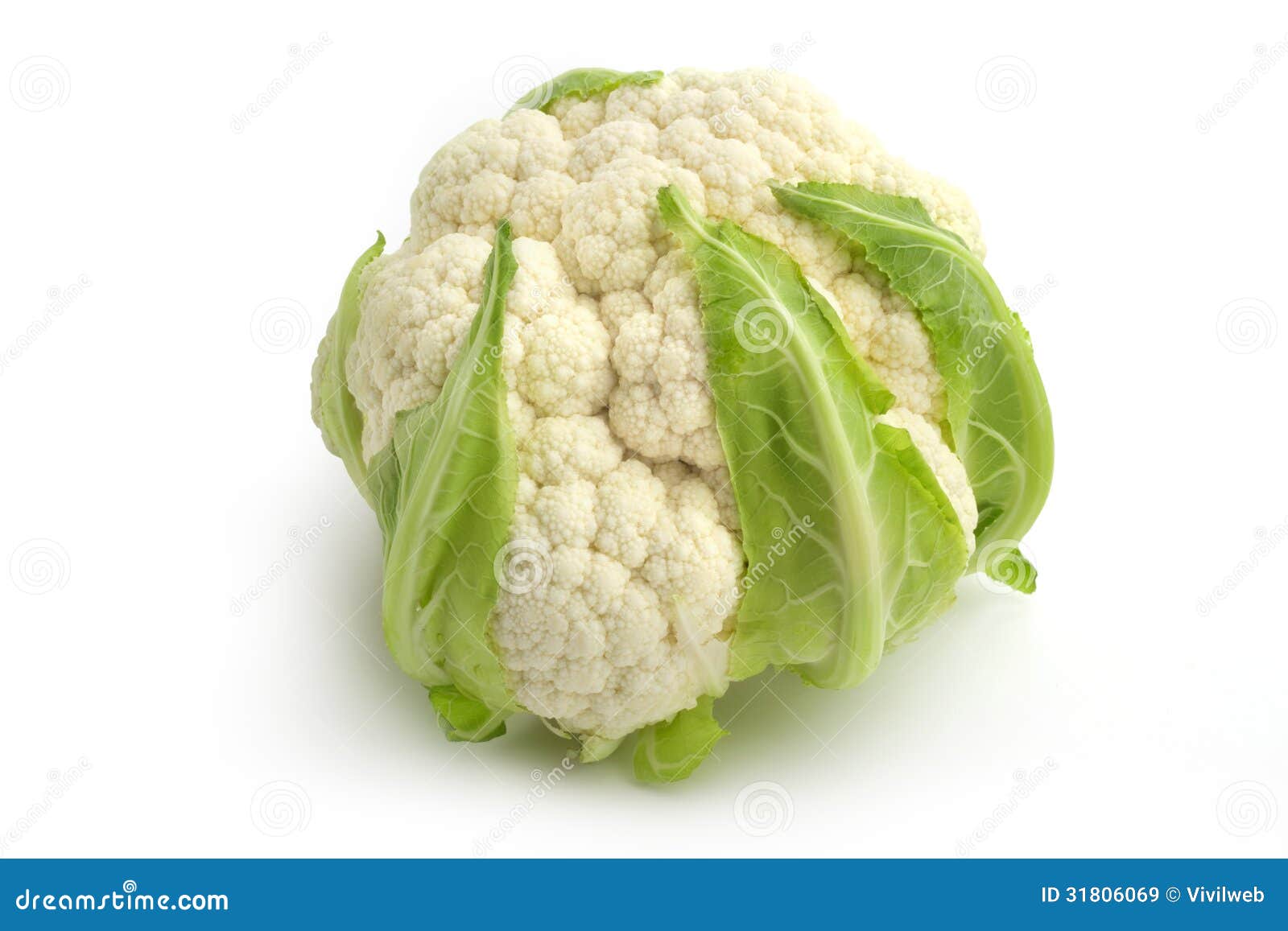Coliflor imagen de archivo. Imagen de coliflor, flor - 31806069