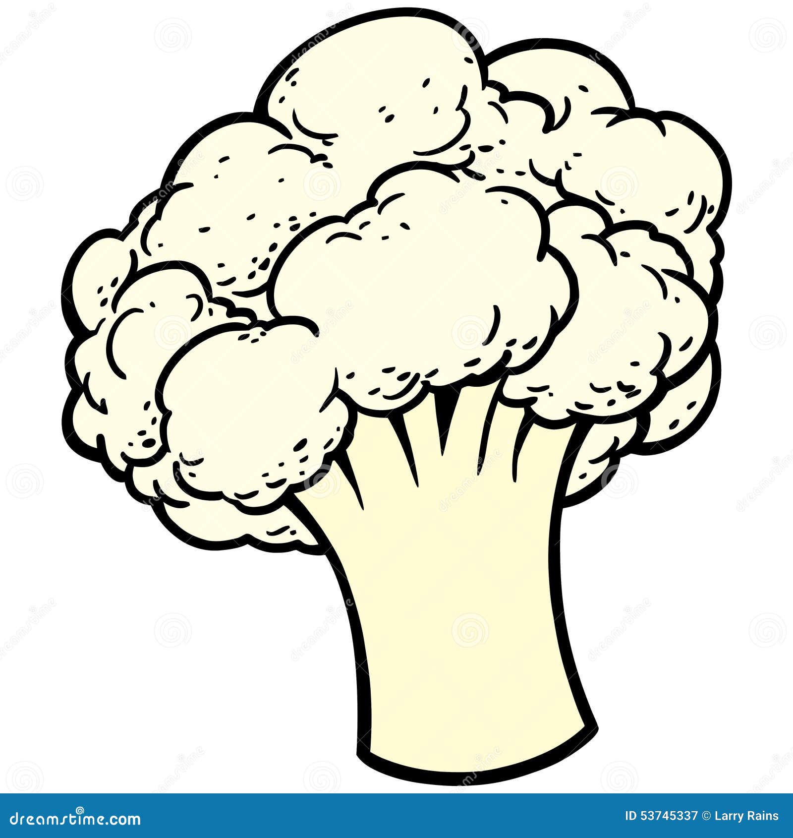 Coliflor ilustración del vector. Ilustración de comer - 53745337