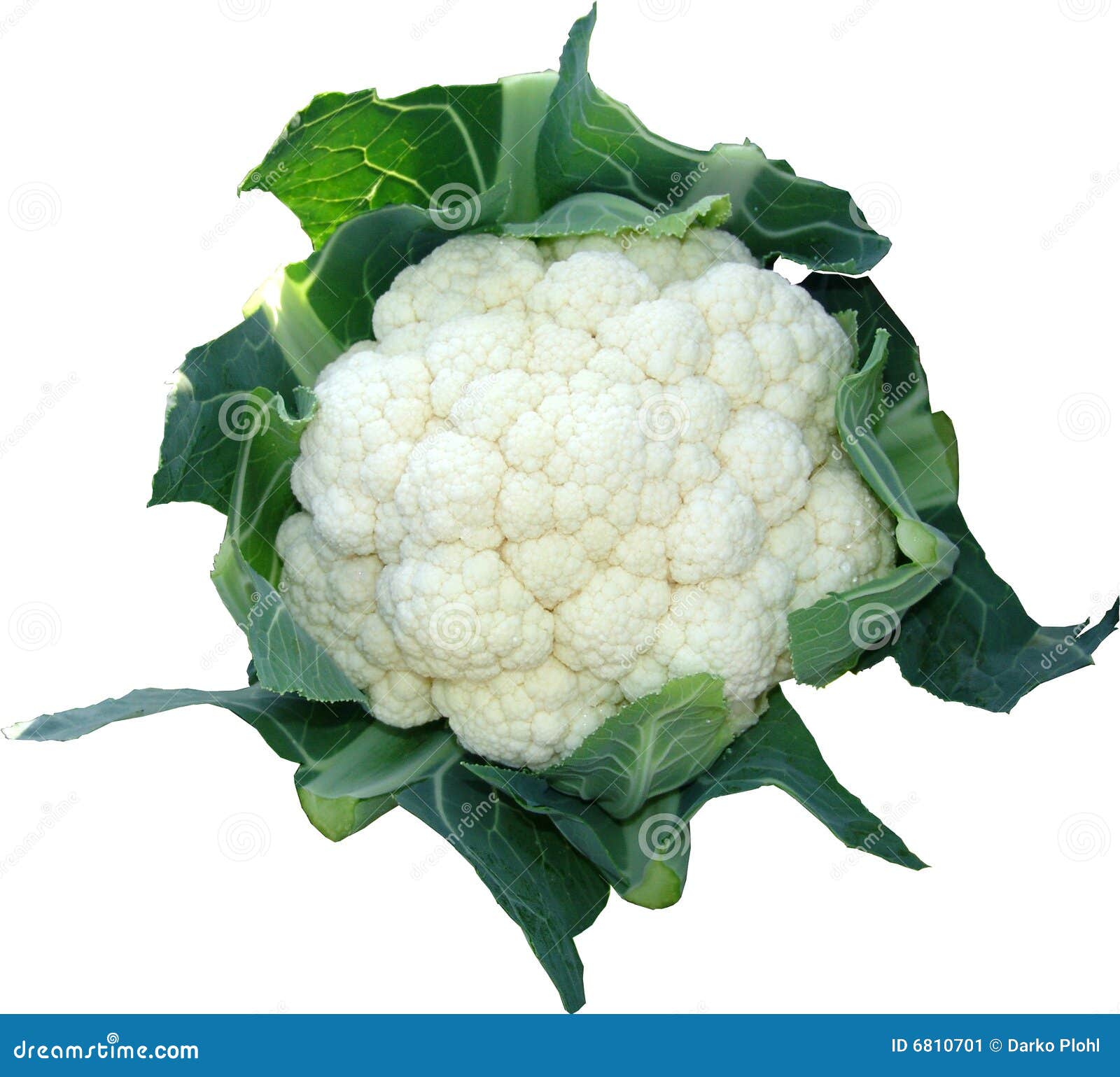 Coliflor imagen de archivo. Imagen de seleccionado, crecimiento - 6810701