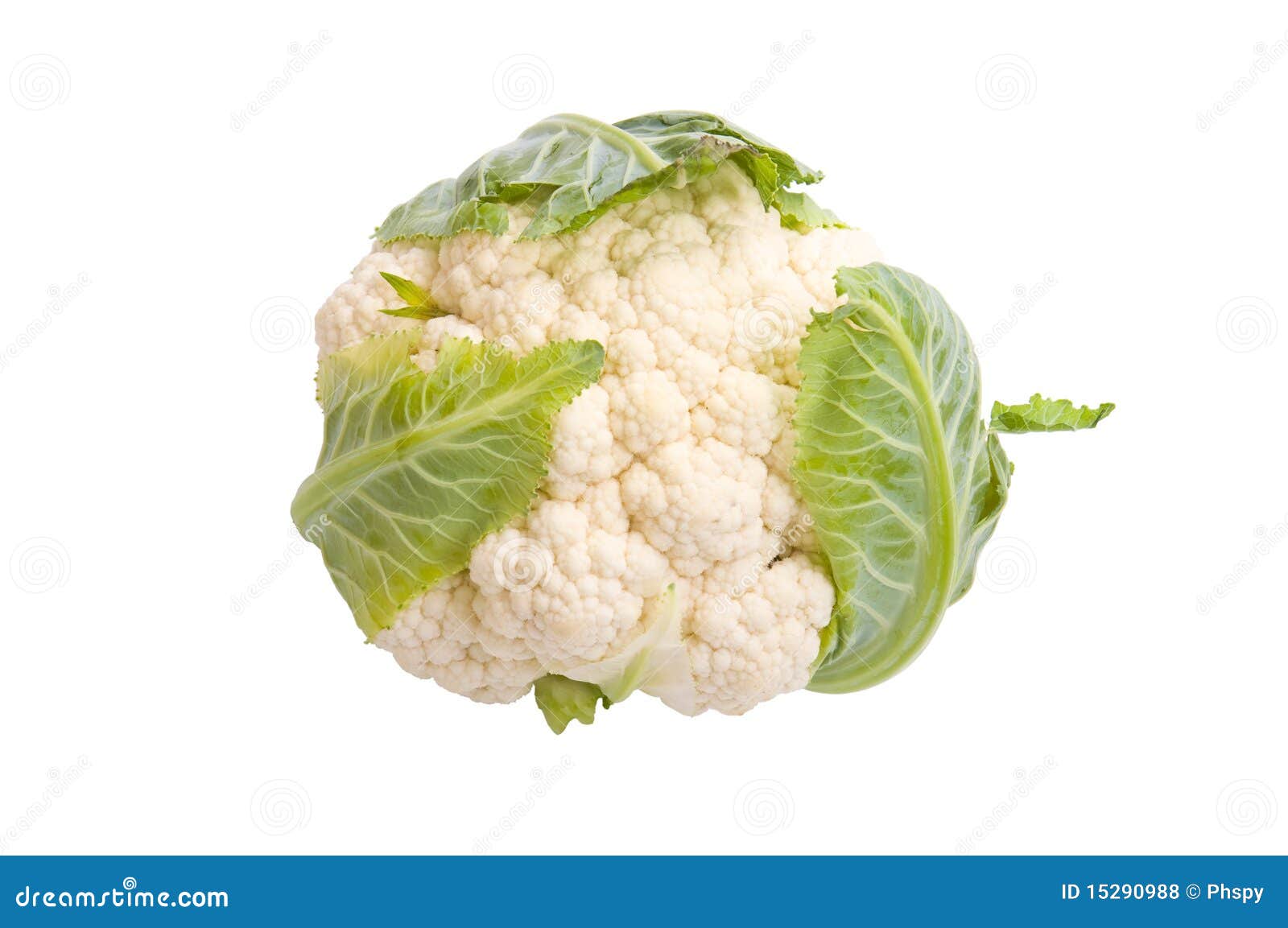 Coliflor fresca foto de archivo. Imagen de cierre, comida - 15290988