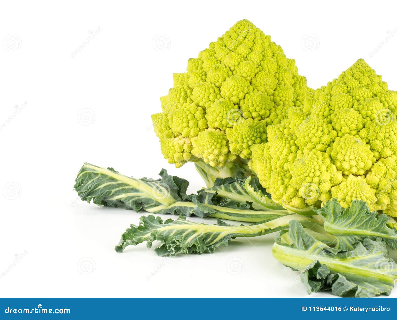 Coliflor Fresca Del Romanesco Aislada En Blanco Foto de archivo ...