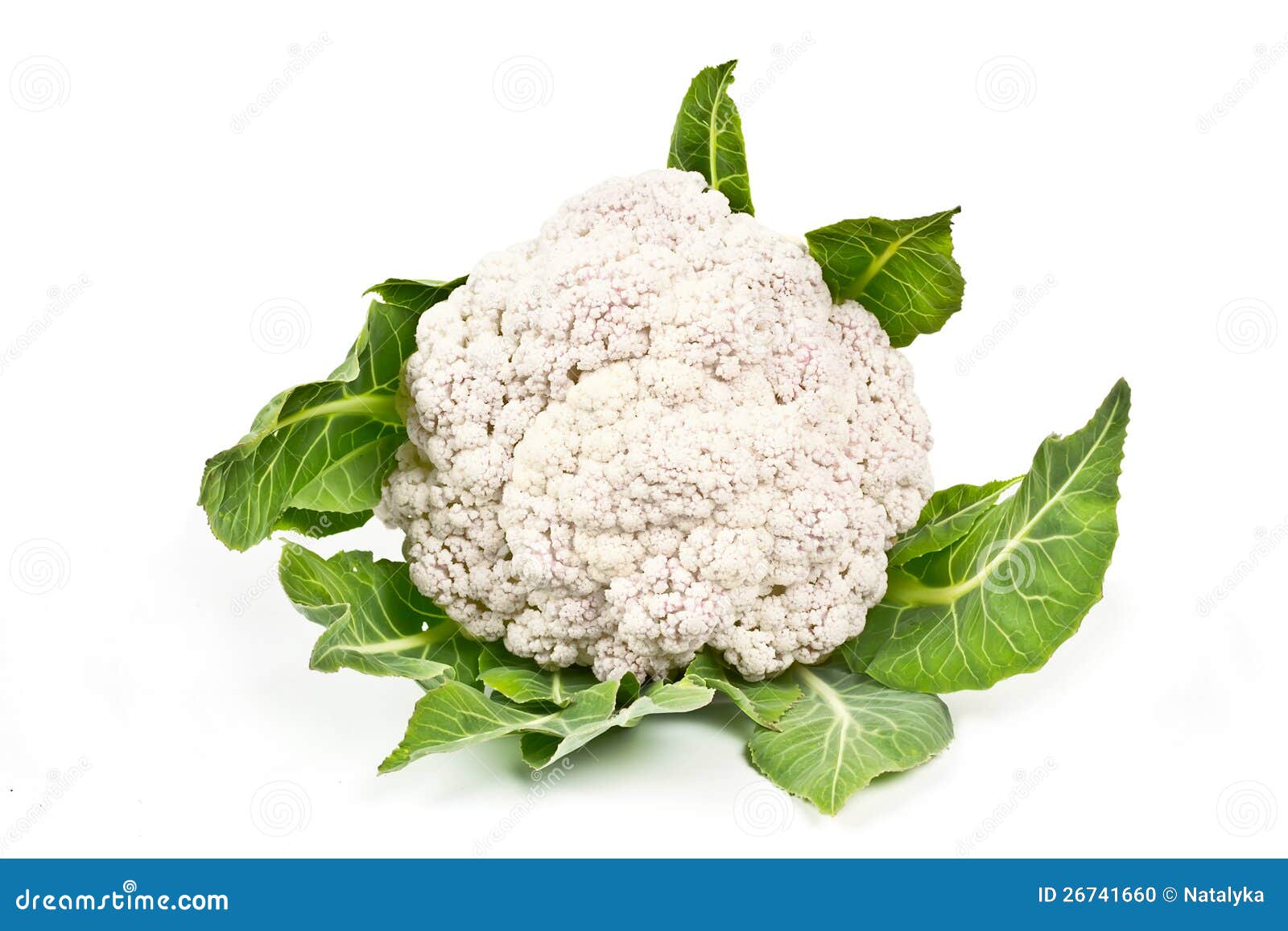 Coliflor vegetal foto de archivo. Imagen de blanco, follaje - 26741660