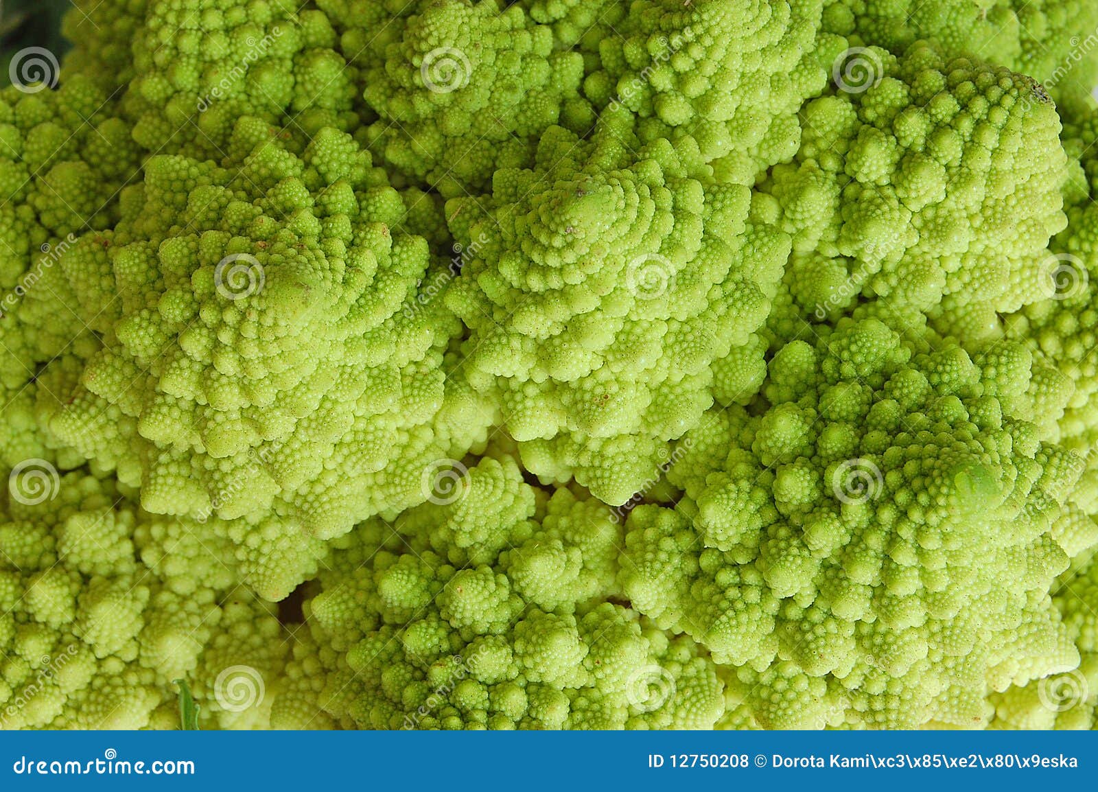 Coliflor verde foto de archivo. Imagen de salud, alimento - 12750208