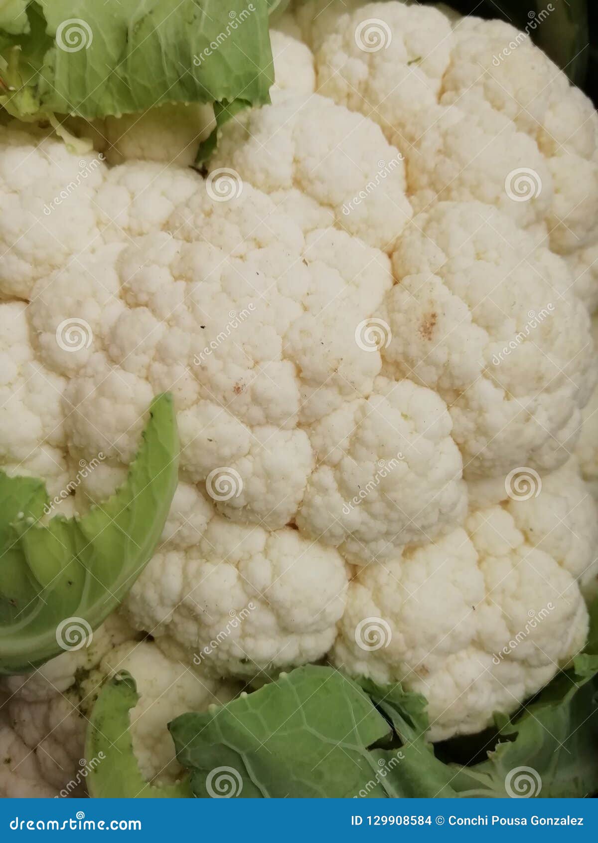 Coliflower stock photo. Image of natural, white, green - 129908584