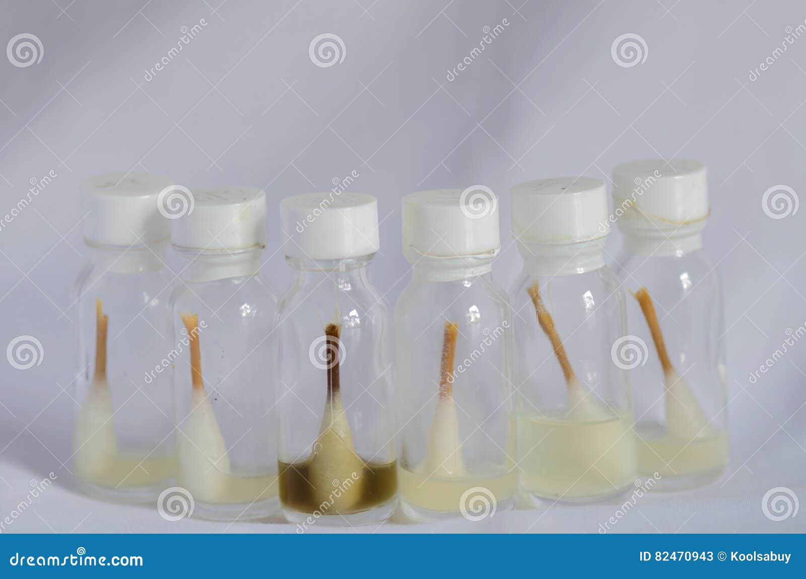 Coliform Bacteria test. stock image. Image of sample - 82470943