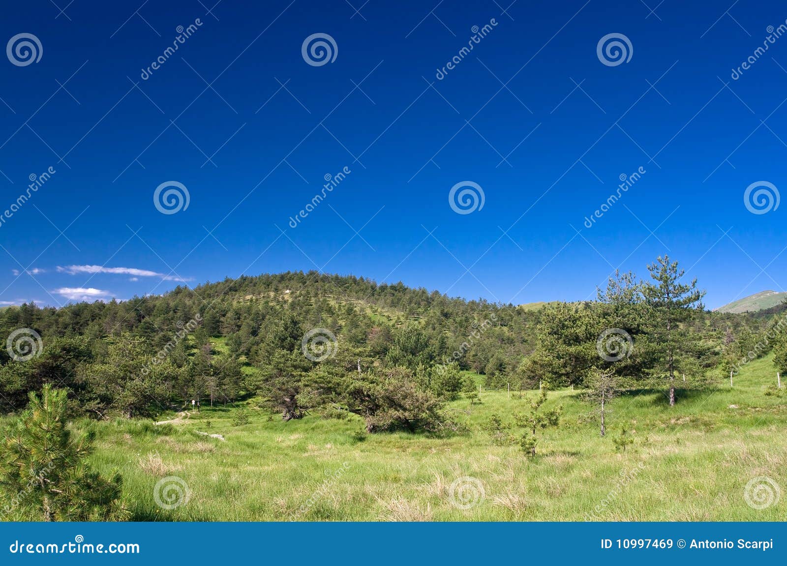 Colina hermosa imagen de archivo. Imagen de escena, cielo - 10997469