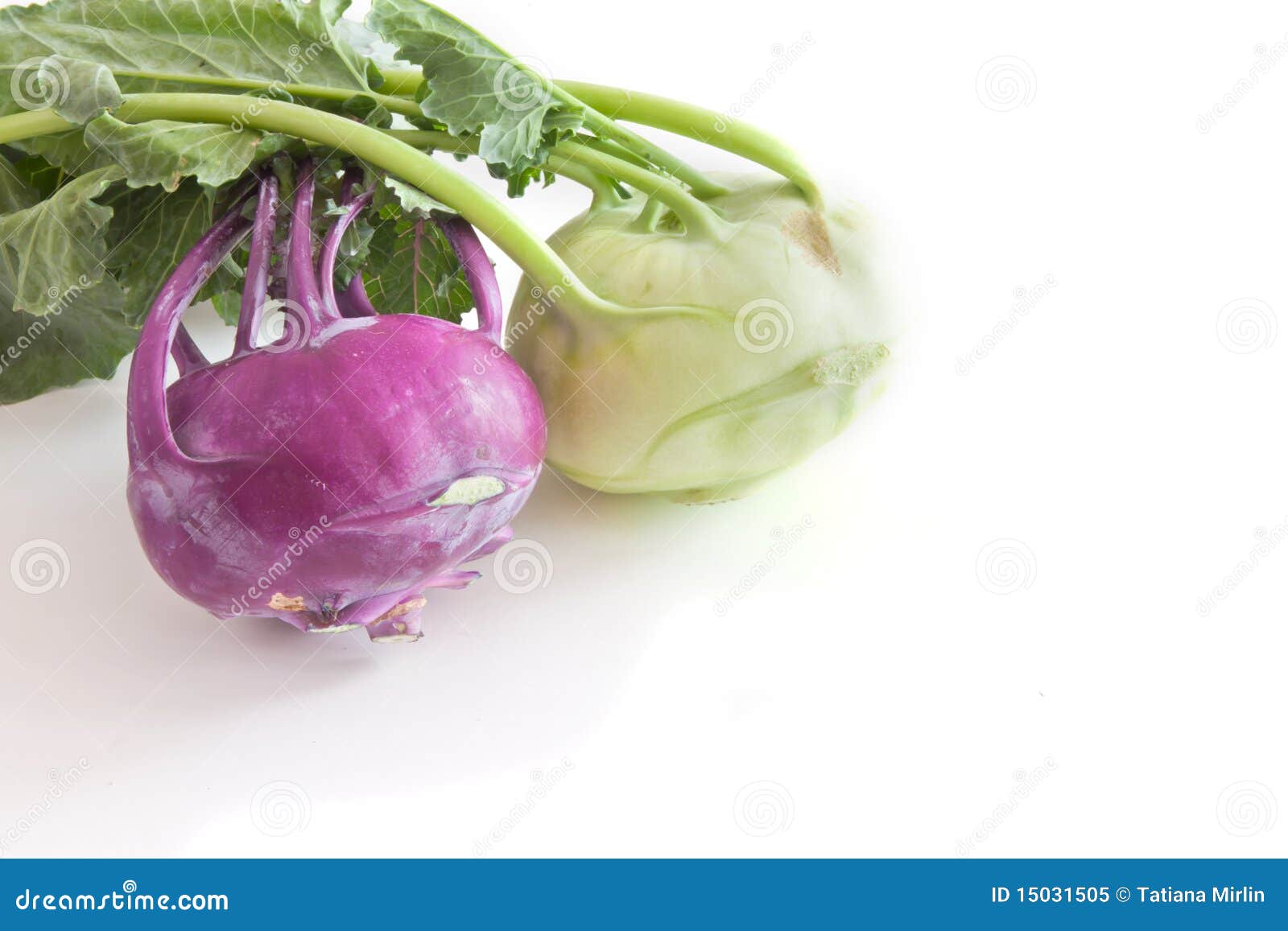 Colinabo imagen de archivo. Imagen de inusual, verde - 15031505