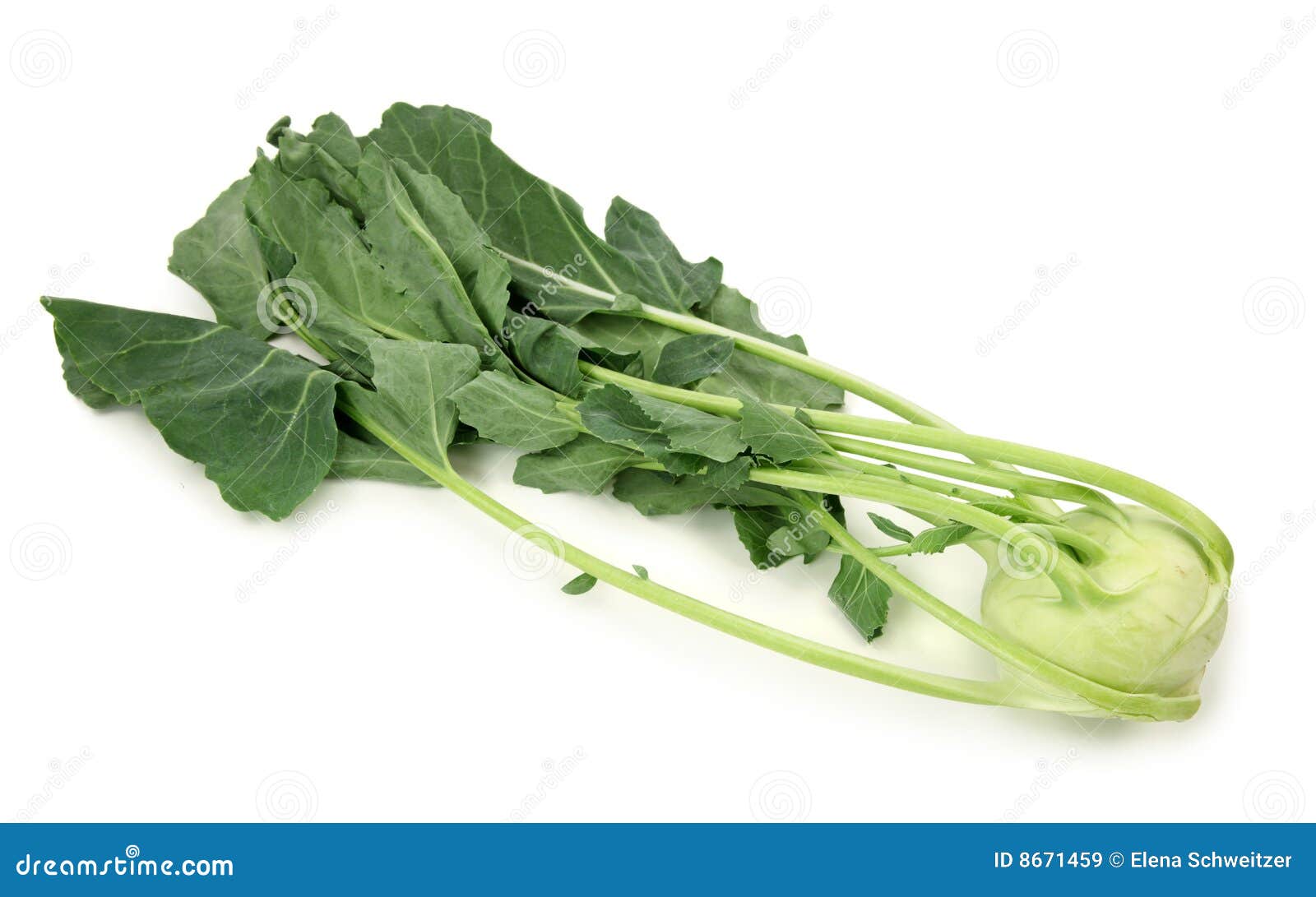 Colinabo imagen de archivo. Imagen de hoja, color, crudo - 8671459