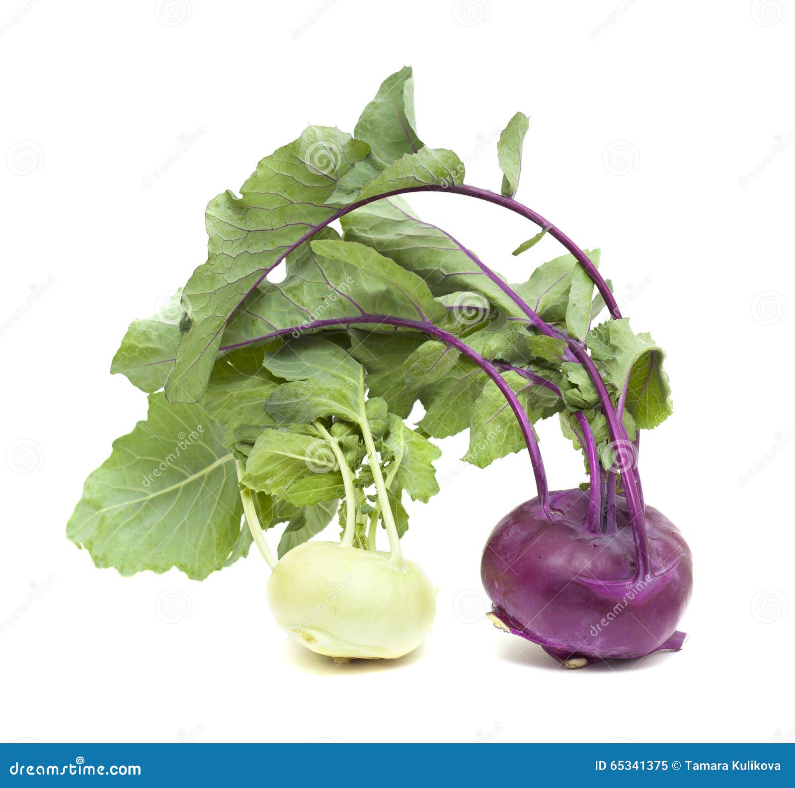 Colinabo aislado en blanco imagen de archivo. Imagen de crudo - 65341375