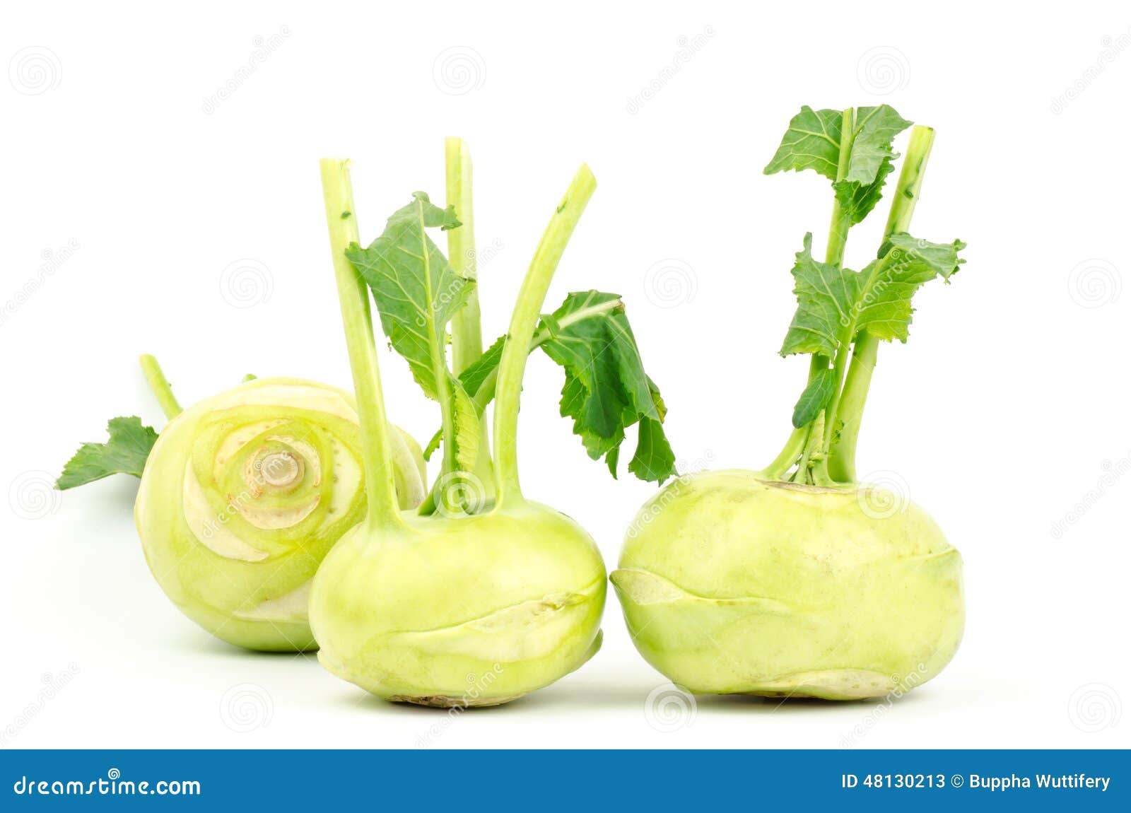 Colinabo fresco imagen de archivo. Imagen de colinabo - 48130213