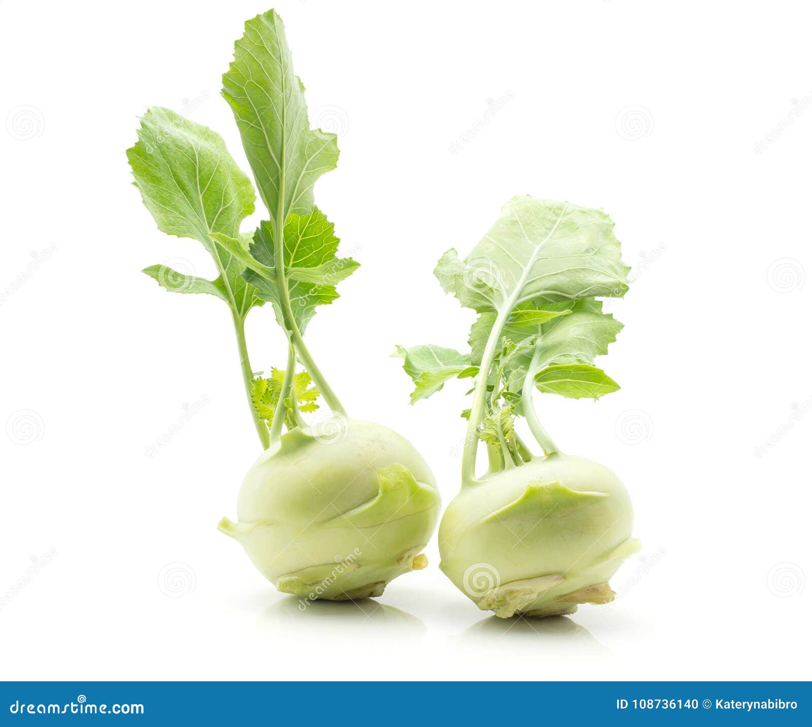 Colinabo Fresco Aislado En Blanco Foto de archivo - Imagen de globo ...