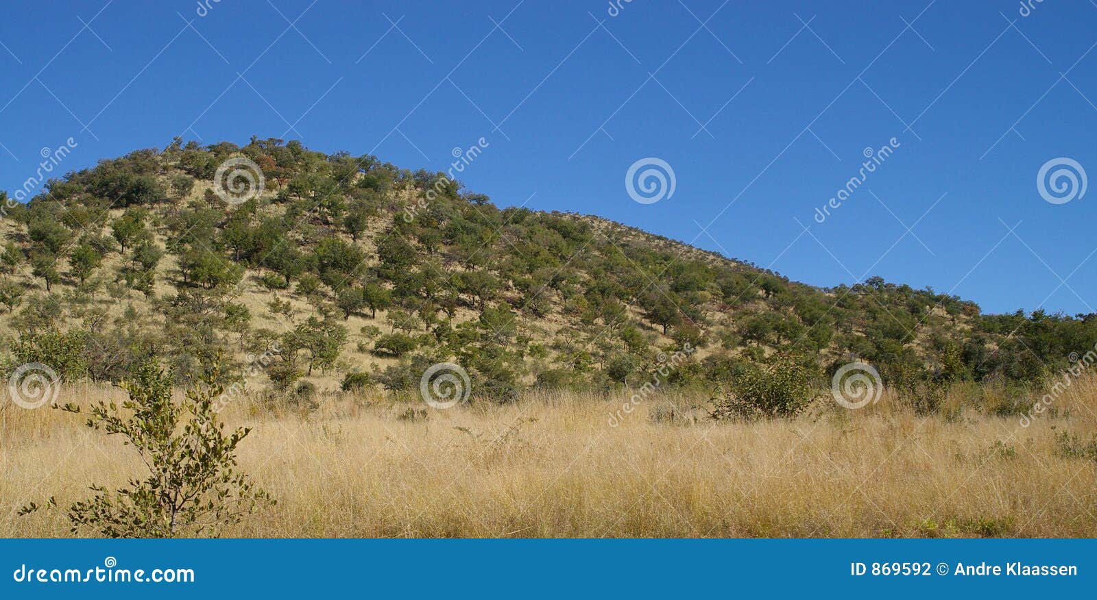 Colinas Africanas Del Parque Foto de archivo - Imagen de escénico, arte ...