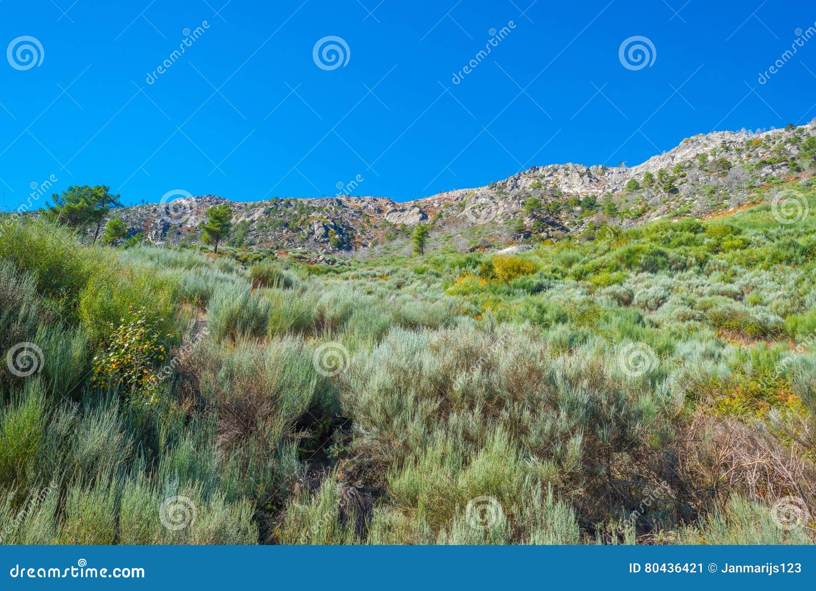 Colinas Del Parque Natural Sierra De Gredos Imagen de archivo - Imagen ...