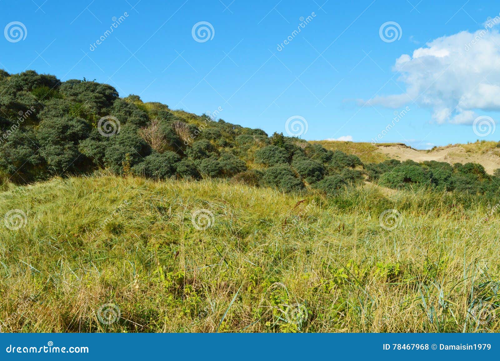 Colinas En Wijk Ana Zee, Holanda Foto de archivo - Imagen de vacaciones ...