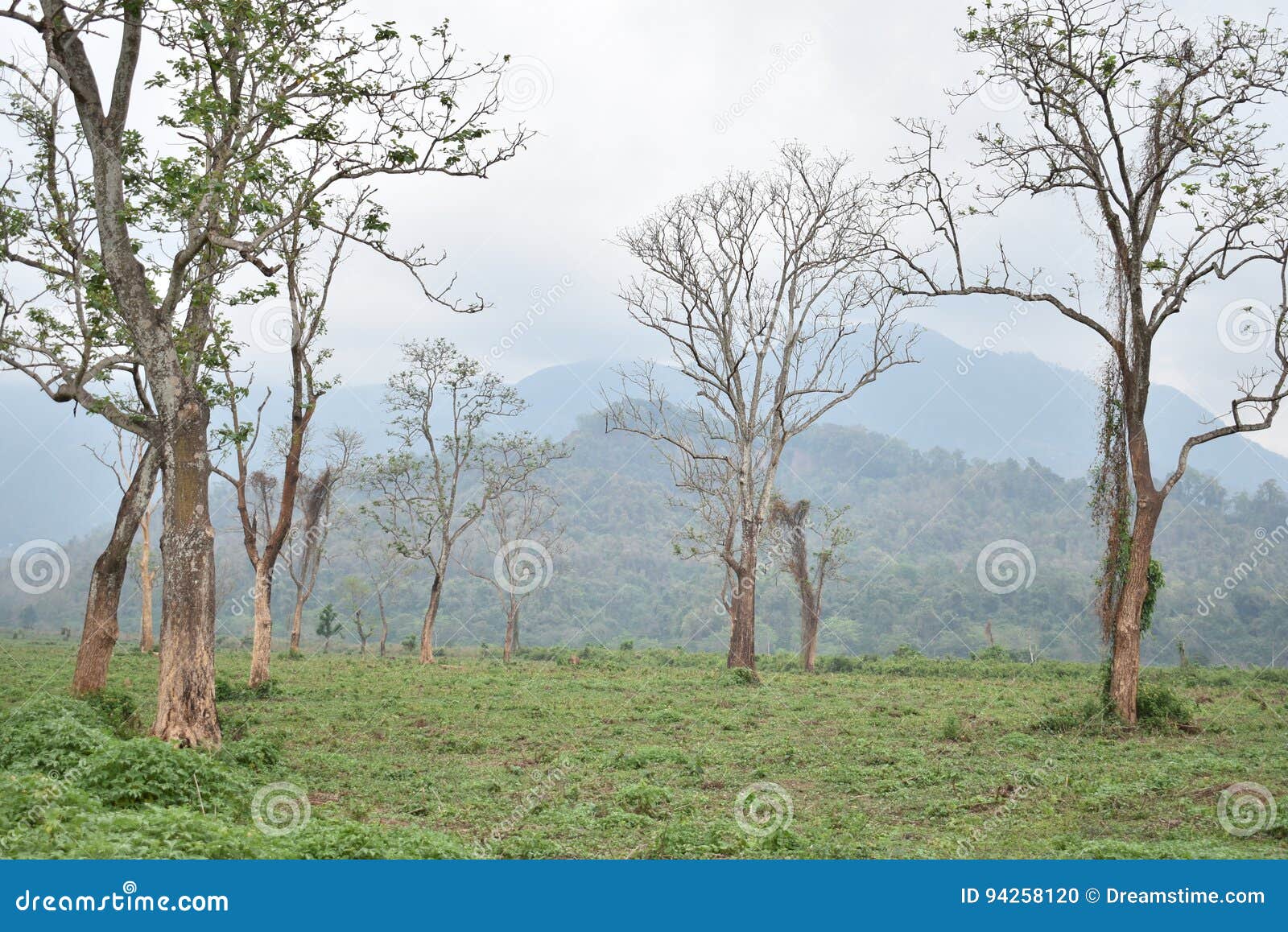 Colinas Ideales De La Tierra Foto de archivo - Imagen de colinas, nube ...