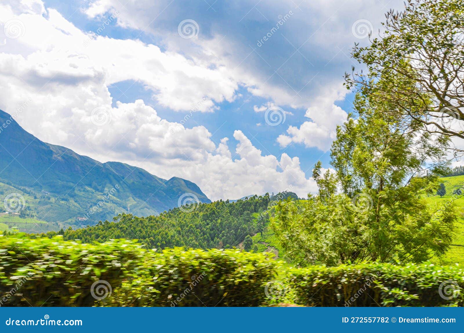Colinas rocosas de munnar foto de archivo. Imagen de farmland - 272557782
