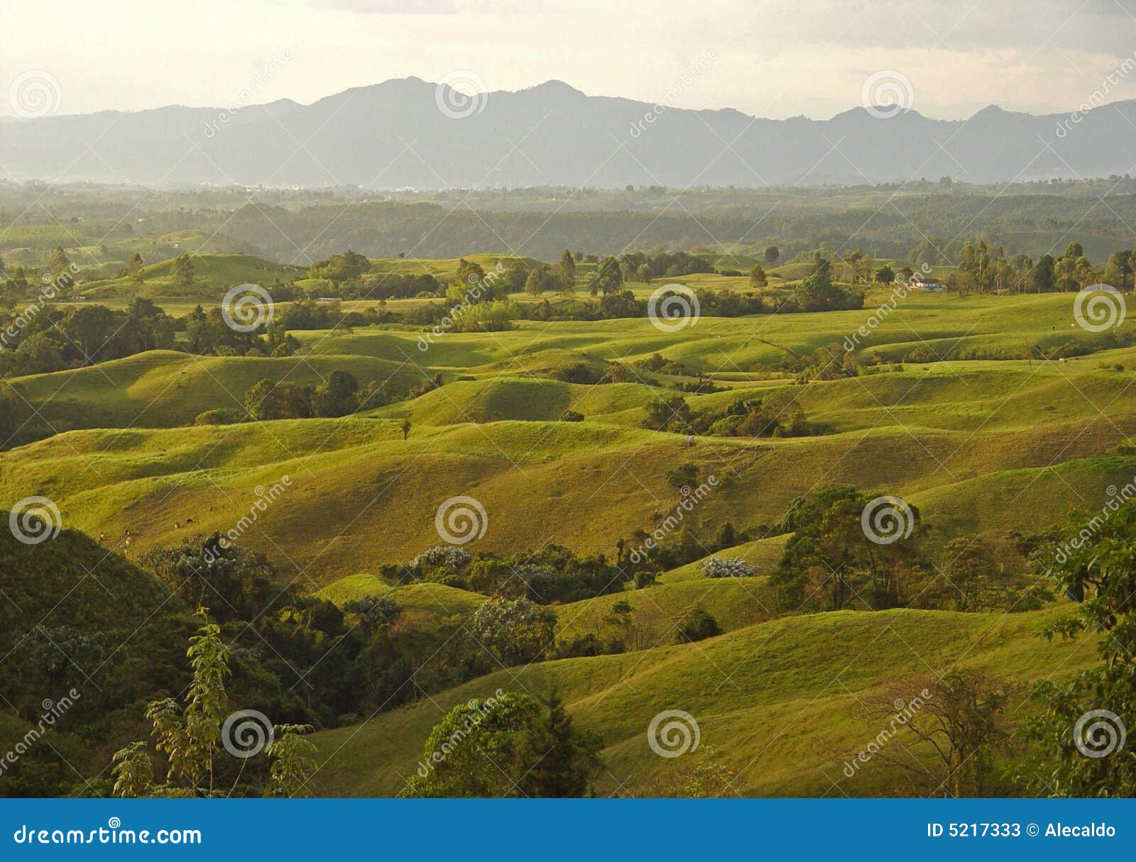 Colinas verdes imagen de archivo. Imagen de verde, travieso - 5217333