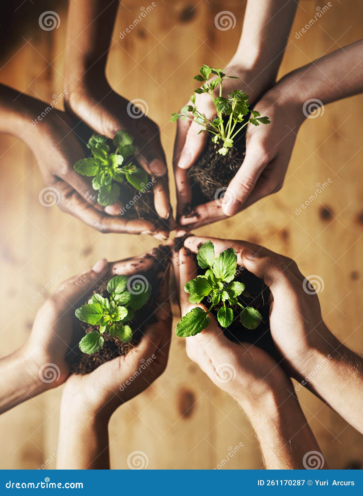 Collaborate and Create Possibilities. a Group of People Holding Plants ...