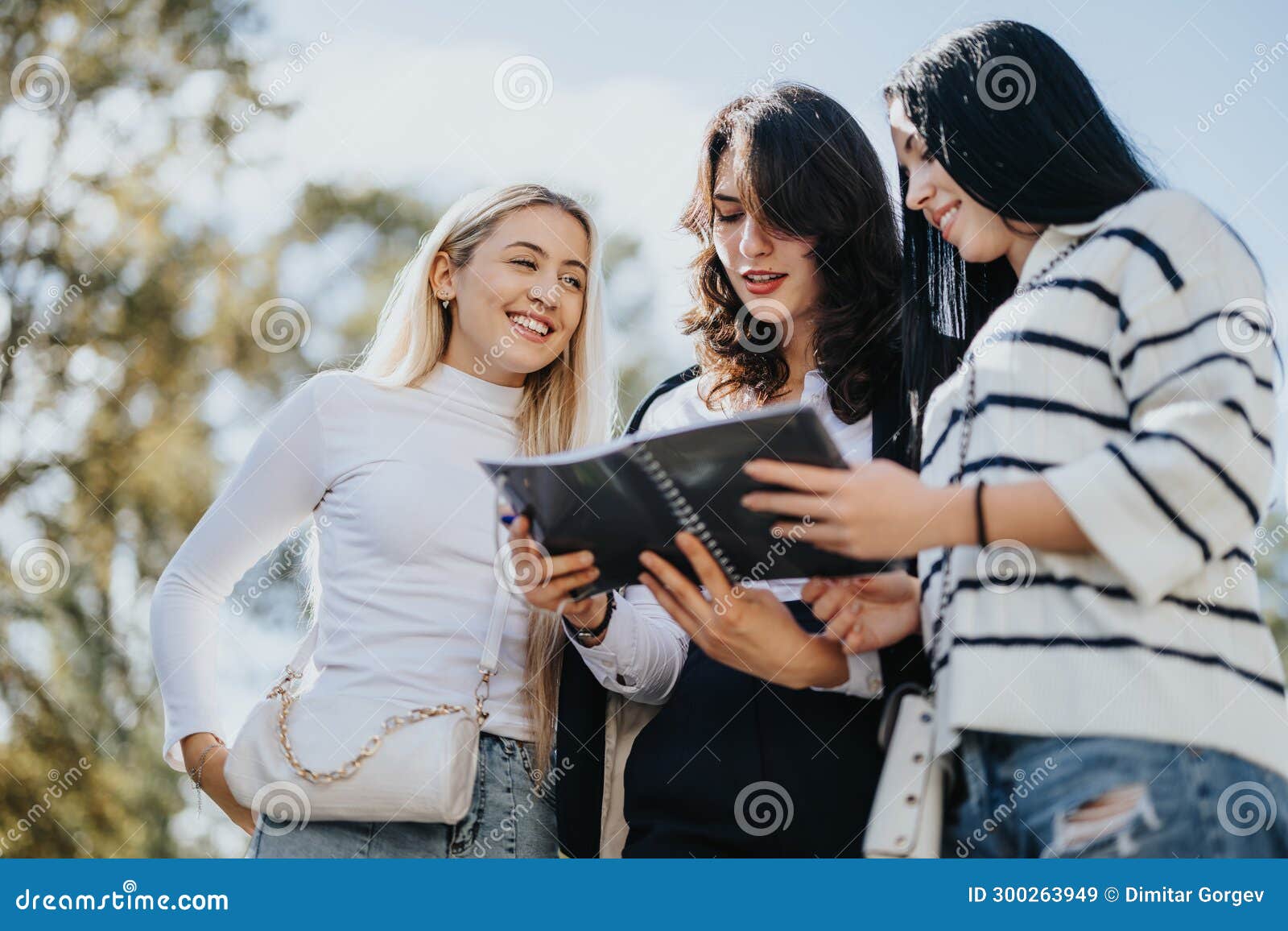 Collaborative Learning in the Park. Students Achieving Milestones and ...