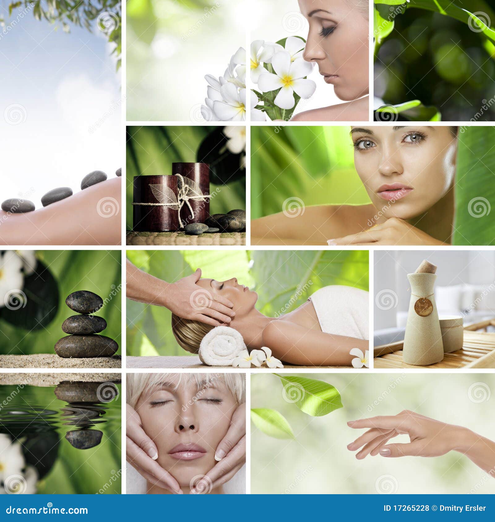 Collage stock photo. Image of leaf, people, essential - 17265228