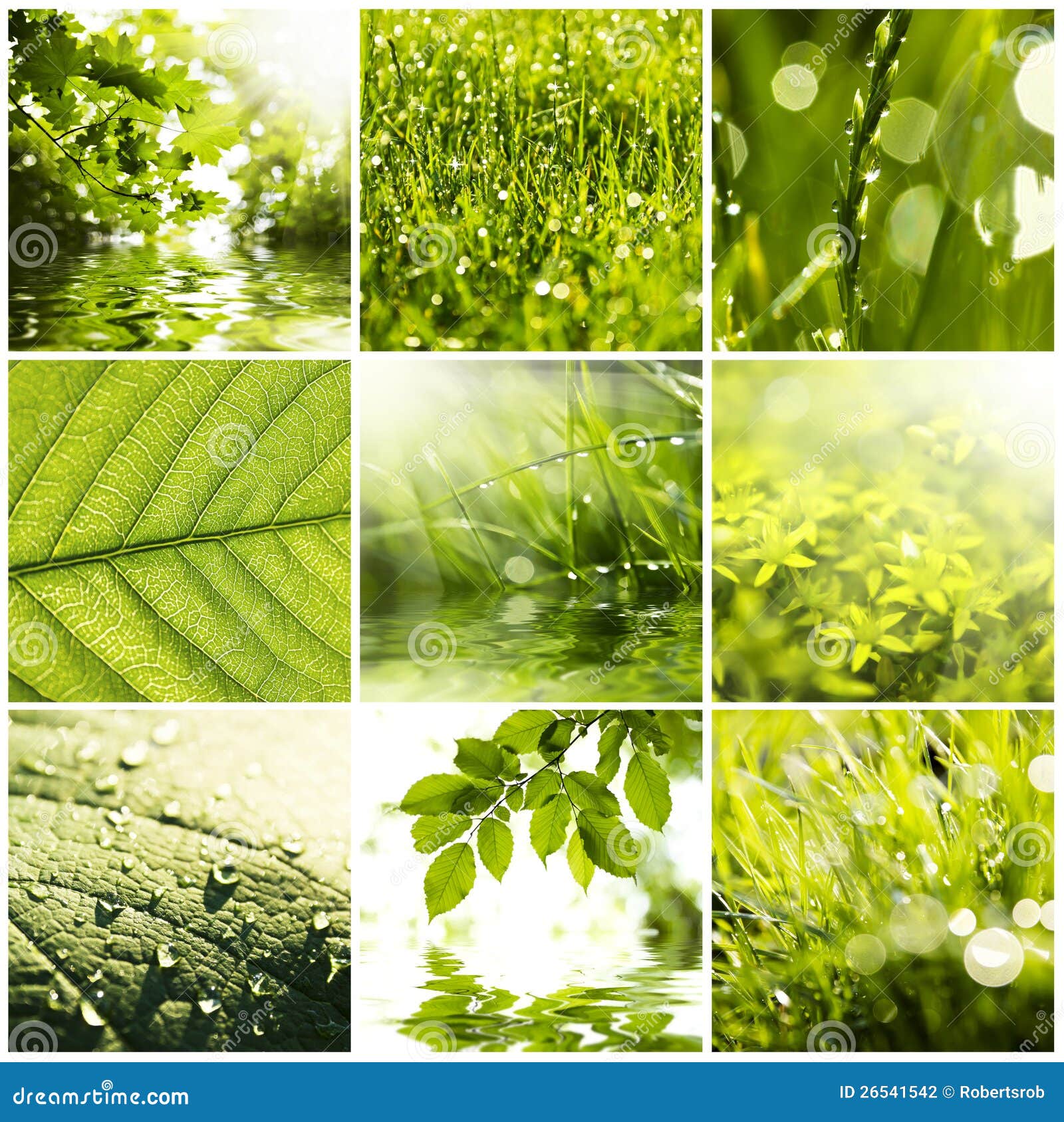 Collage stock photo. Image of bright, isolated, freshness - 26541542
