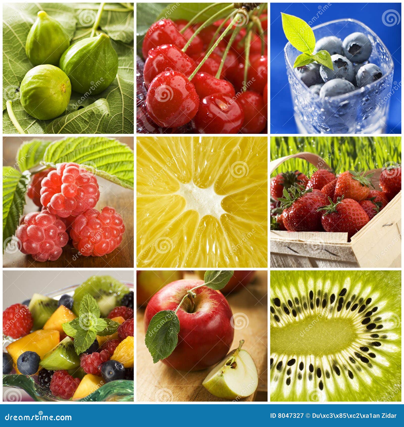 Collage stock image. Image of salad, kiwi, collage, diet - 8047327