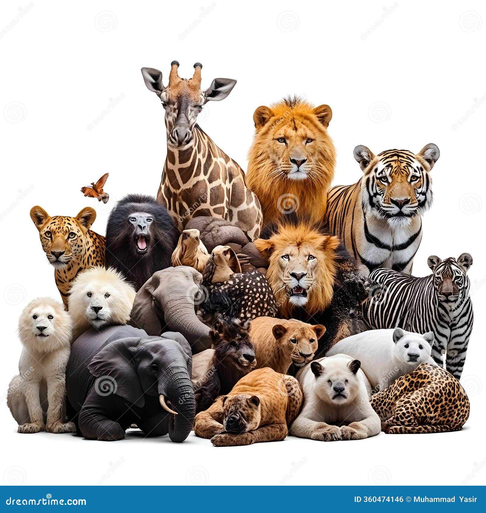 Collage Of Animals From Noahs Ark Featuring A Diverse Array Of Species ...