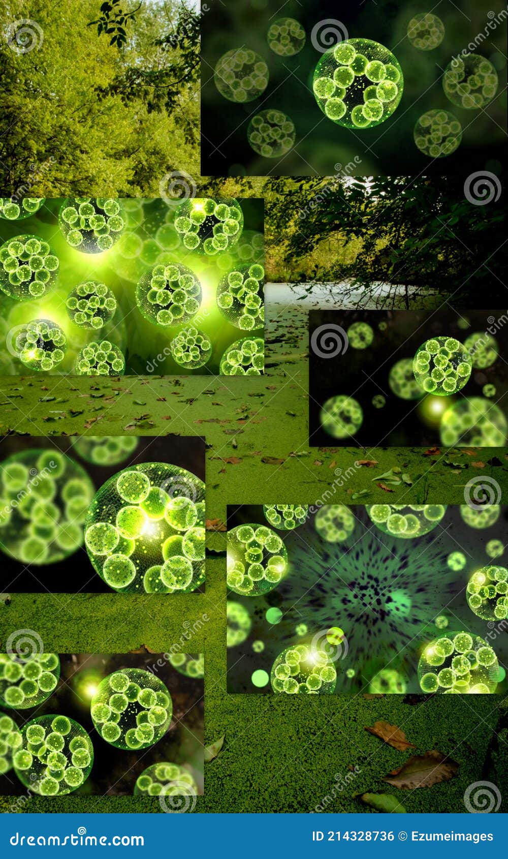 Collage Algae Cells 3D Illustration Stock Illustration - Illustration ...