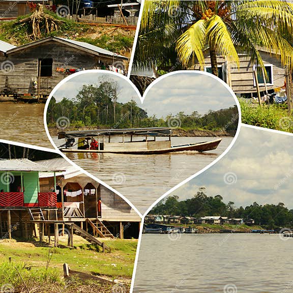 Collage of Amazonia ,Peru My Photos . Stock Photo - Image of green ...