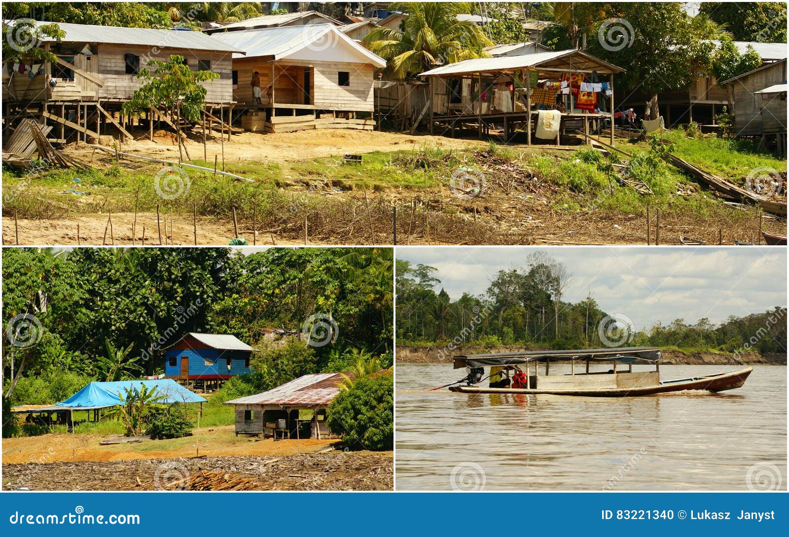 Collage of Amazonia,Peru My Photos Stock Photo - Image of landscape ...