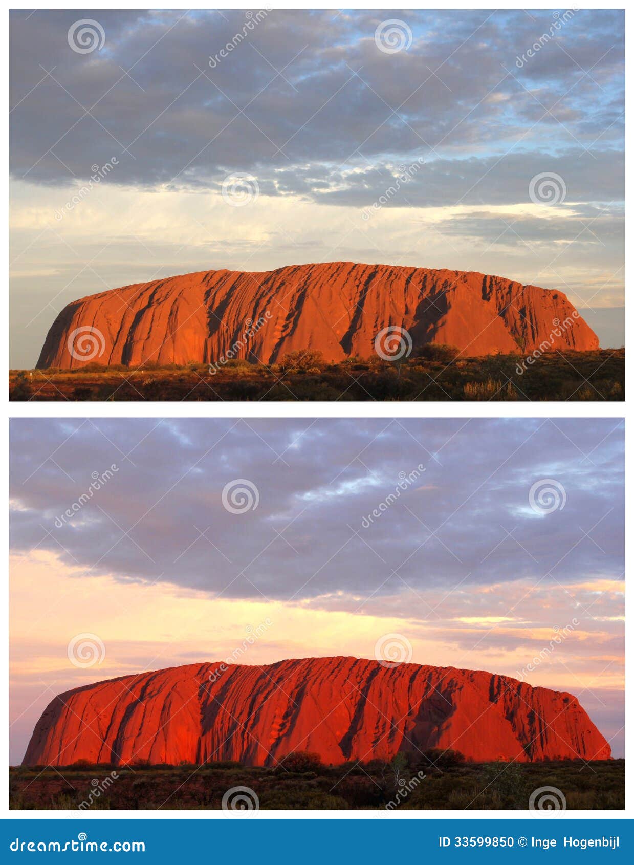 Collage of Colorful Sunsets, Uluru Ayers Rock, Australia Editorial ...