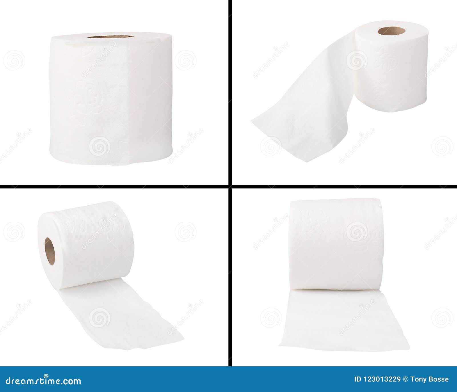 Bath Tissue Collage stock image. Image of isolated, hygiene - 123013229