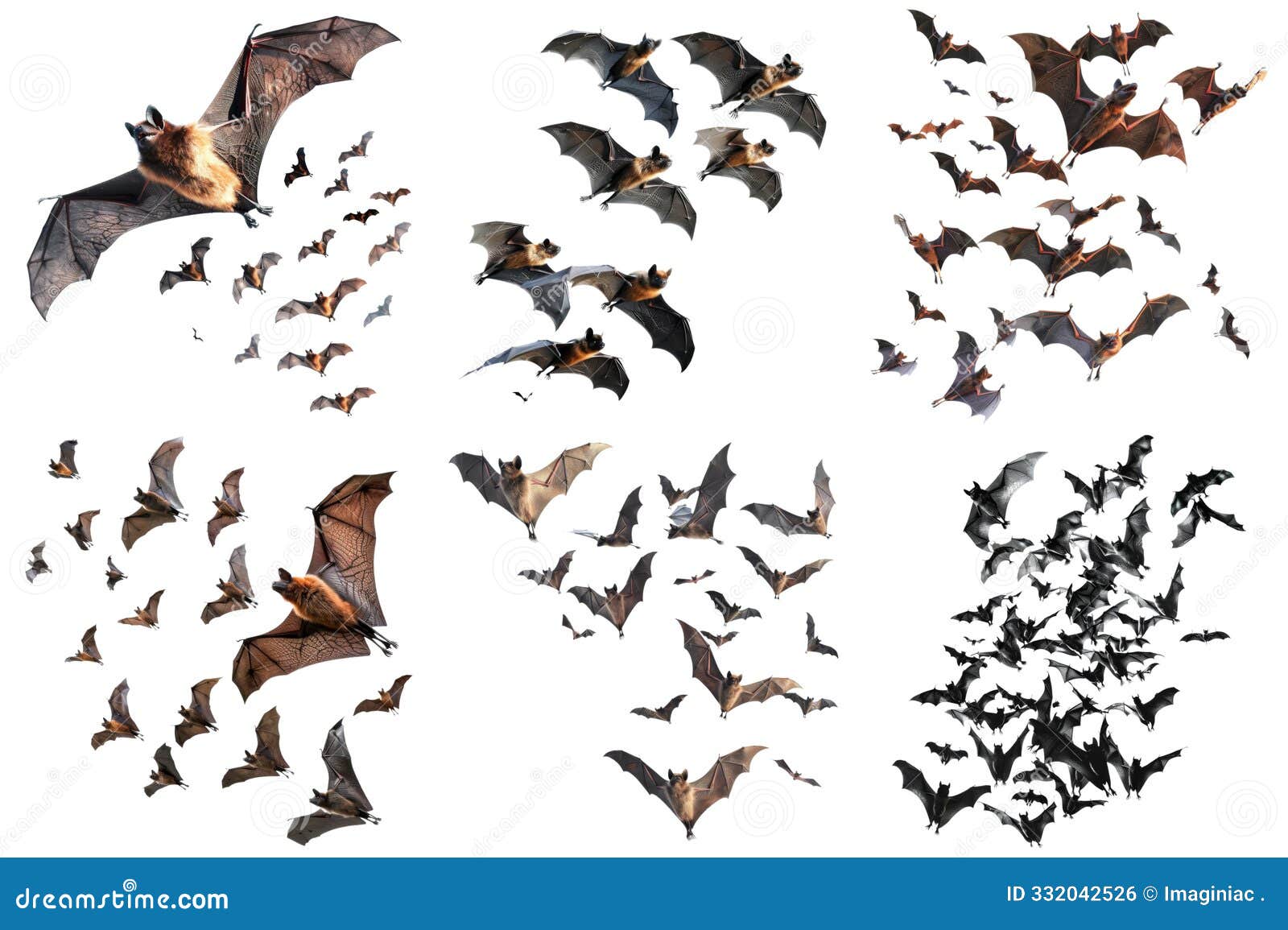 A Collage of Bats in Flight with Abstract Backgrounds Stock ...