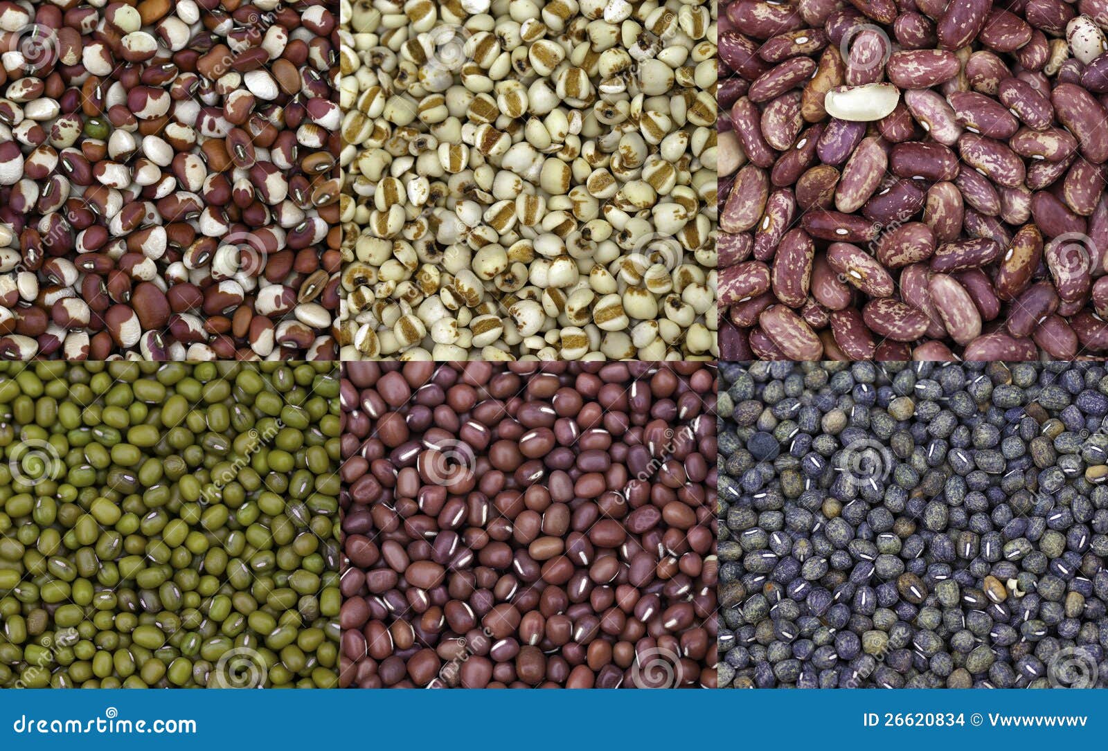 Collage of beans stock photo. Image of backdrop, nutrition - 26620834
