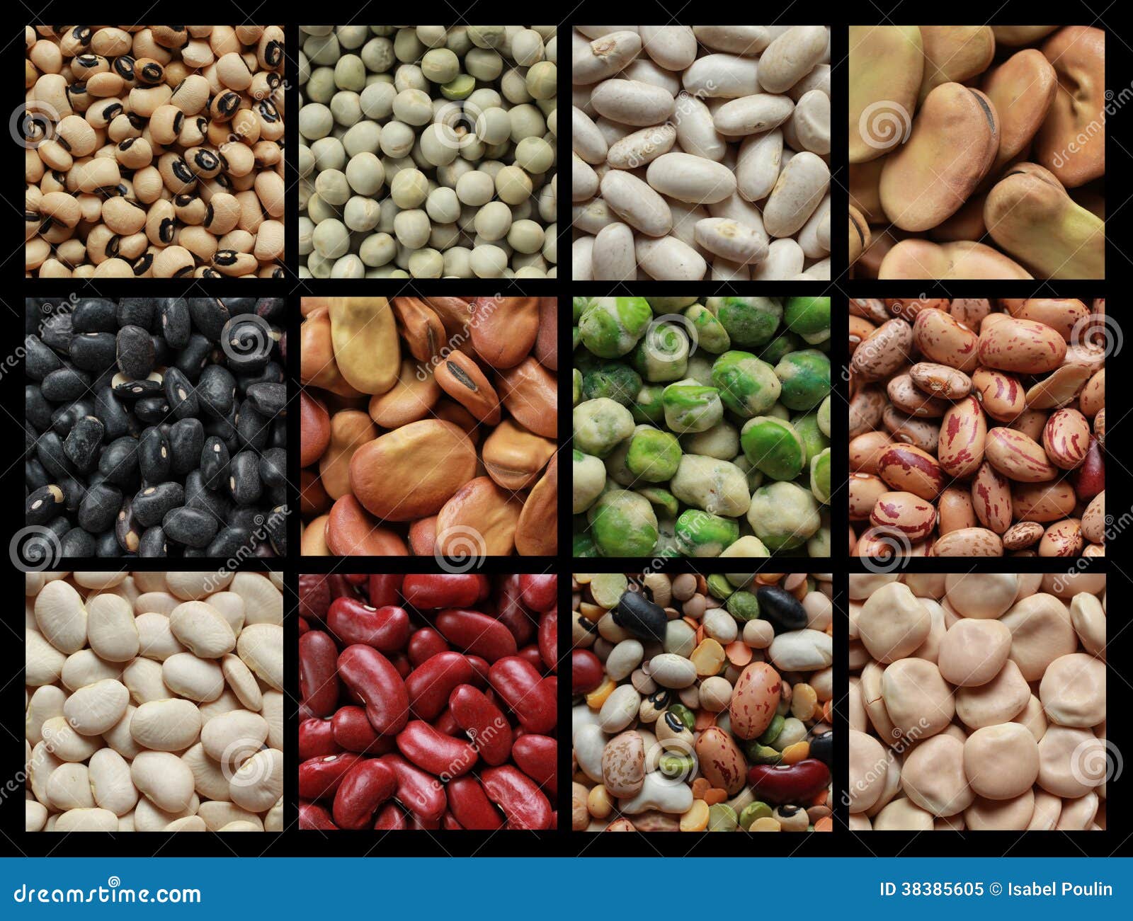 Collage of beans stock image. Image of collage, kidney - 38385605