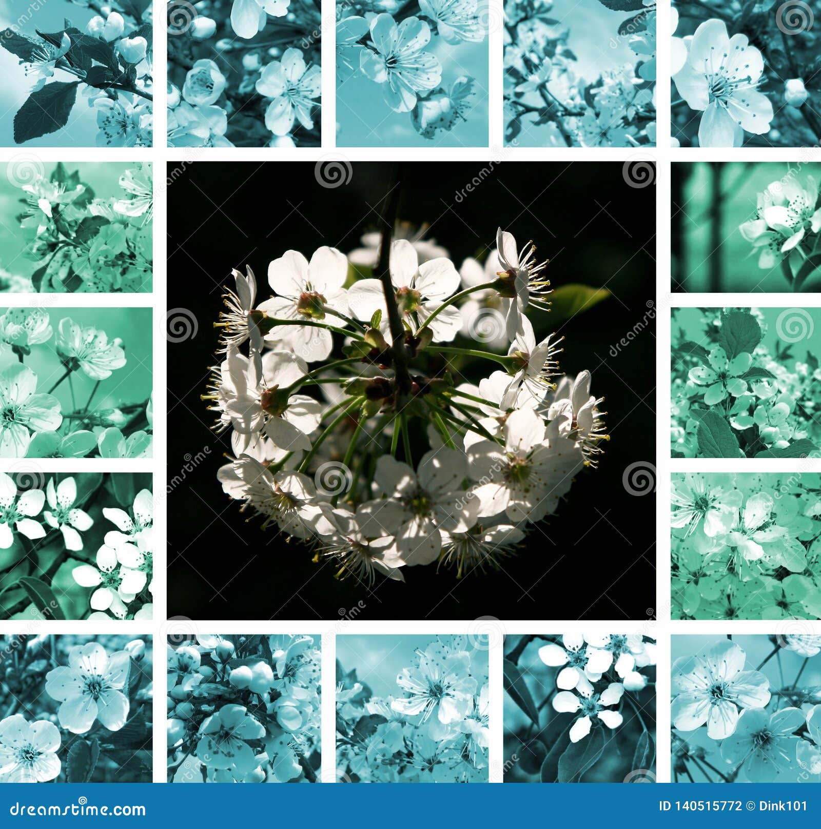 Spring trees collage stock photo. Image of macro, nature - 140515772