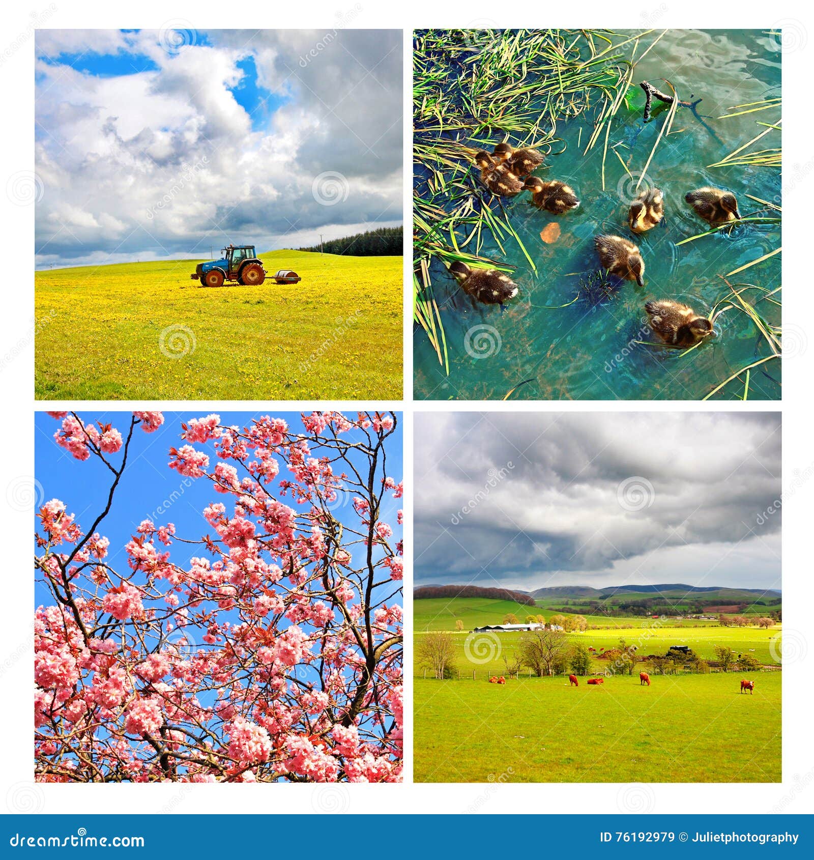 Collage of Beautiful Springtime Scenes Stock Image - Image of beauty ...