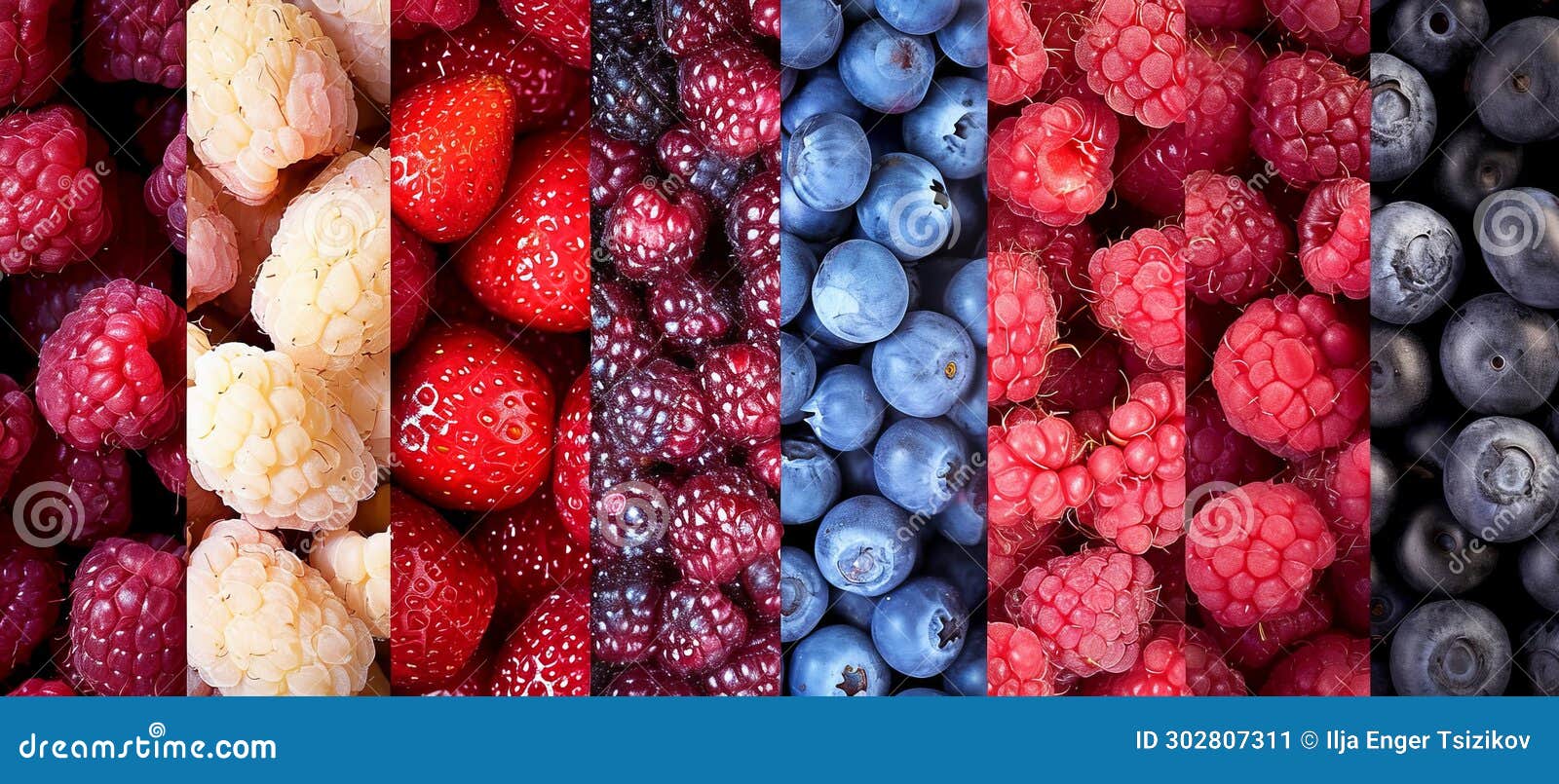 Collage of Berry Products Divided with White Vertical Lines in 7 ...