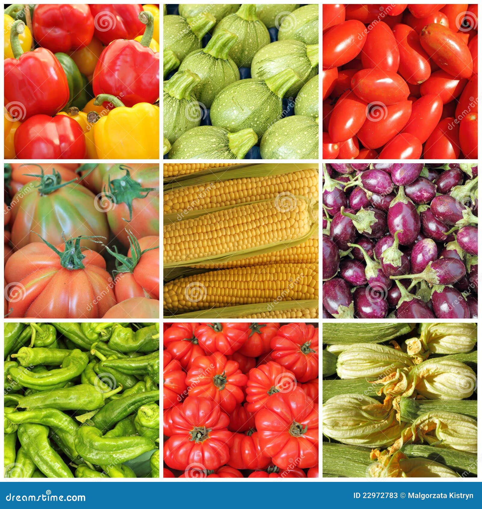 Collage with Bio Vegetables Stock Image - Image of collage, harvest ...