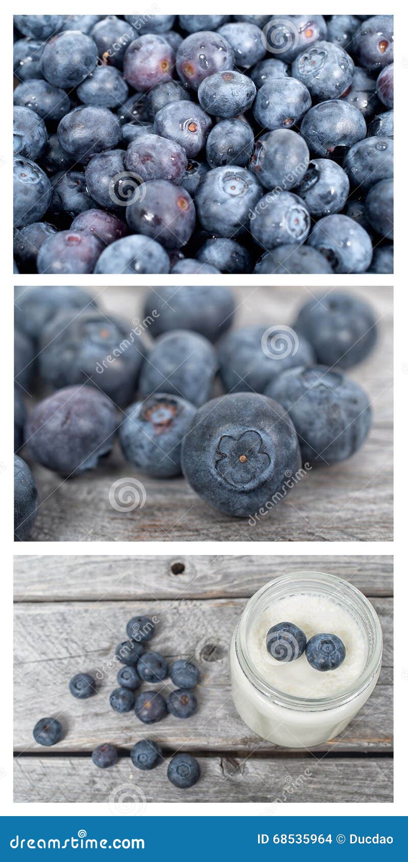Collage of Blueberries Fruits Stock Photo - Image of fresh, contenant ...