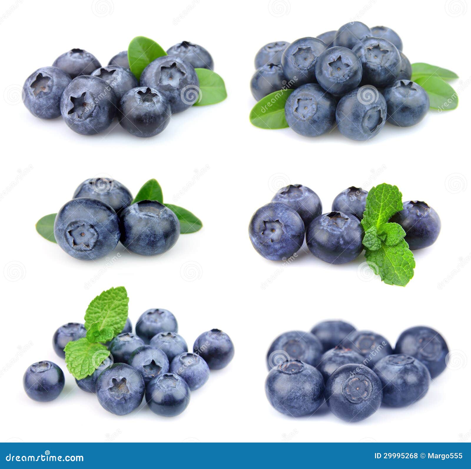 Collage of blueberries stock photo. Image of blueberry - 29995268